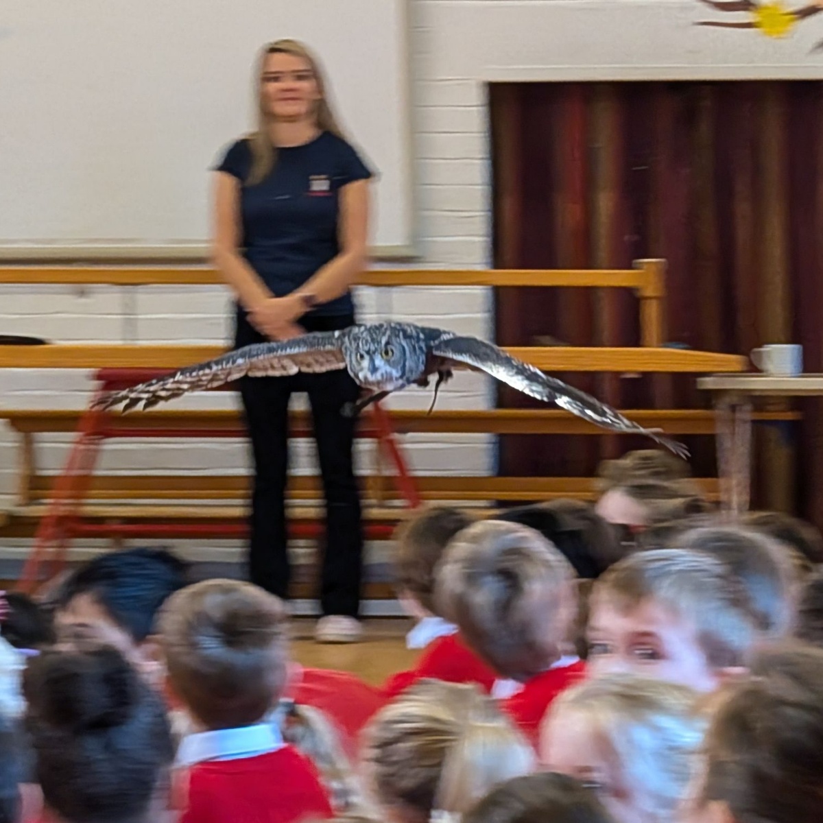 William Ransom Primary School - Night Owls Visit WR!